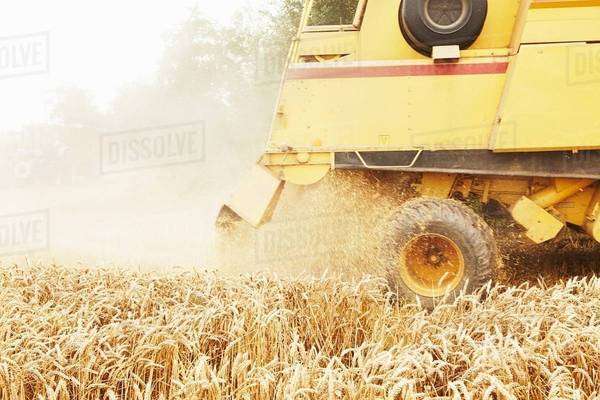 Tractor harvesting grains in crop field - Stock Photo - Dissolve