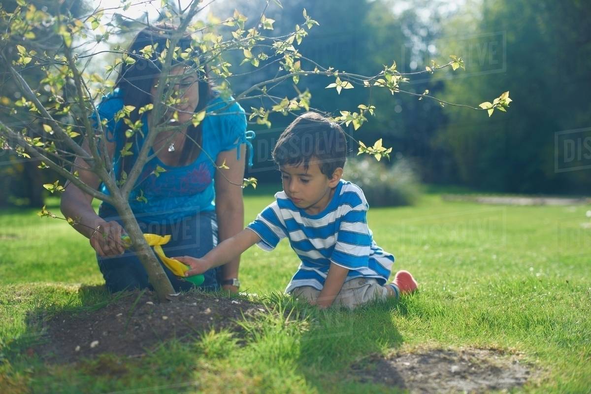 Mother and son planting tree in garden - Royalty-free Stock Photo ...