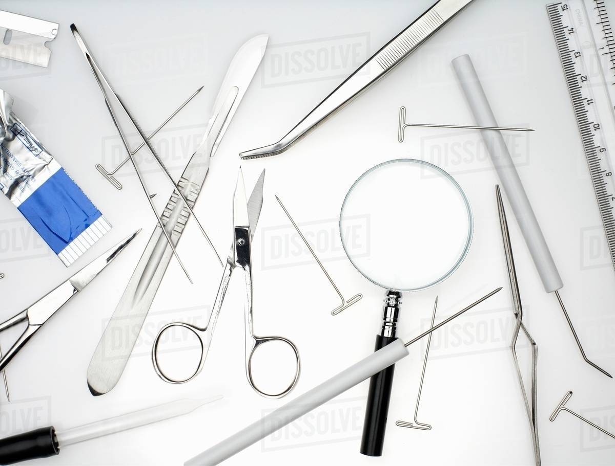 Still life with objects to collect forensic evidence - Royalty-free ...