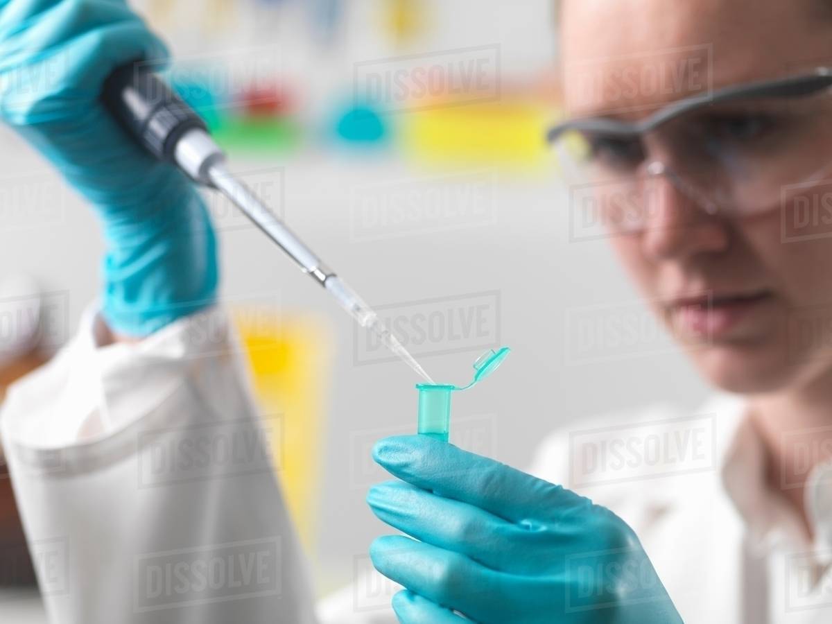 Laboratory worker pipetting sample into an eppendorf vial - Royalty ...
