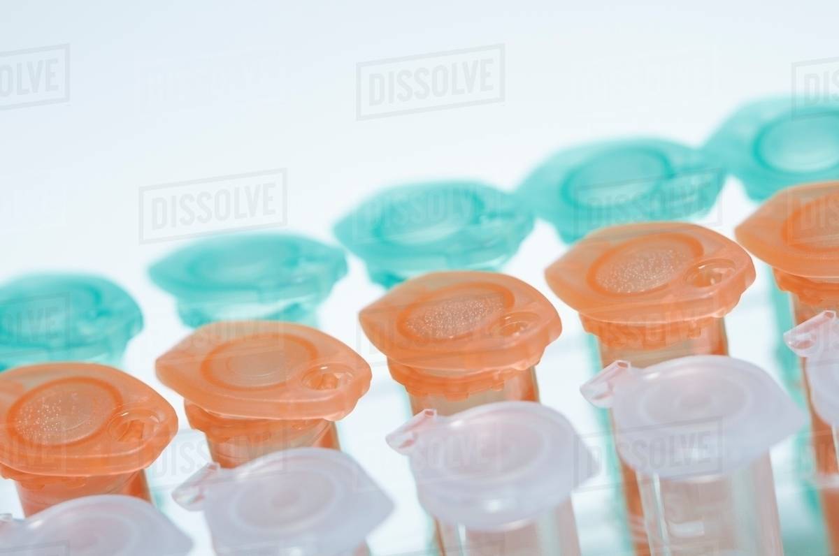 Still life of color coded microcentrifuge tubes - Stock Photo - Dissolve
