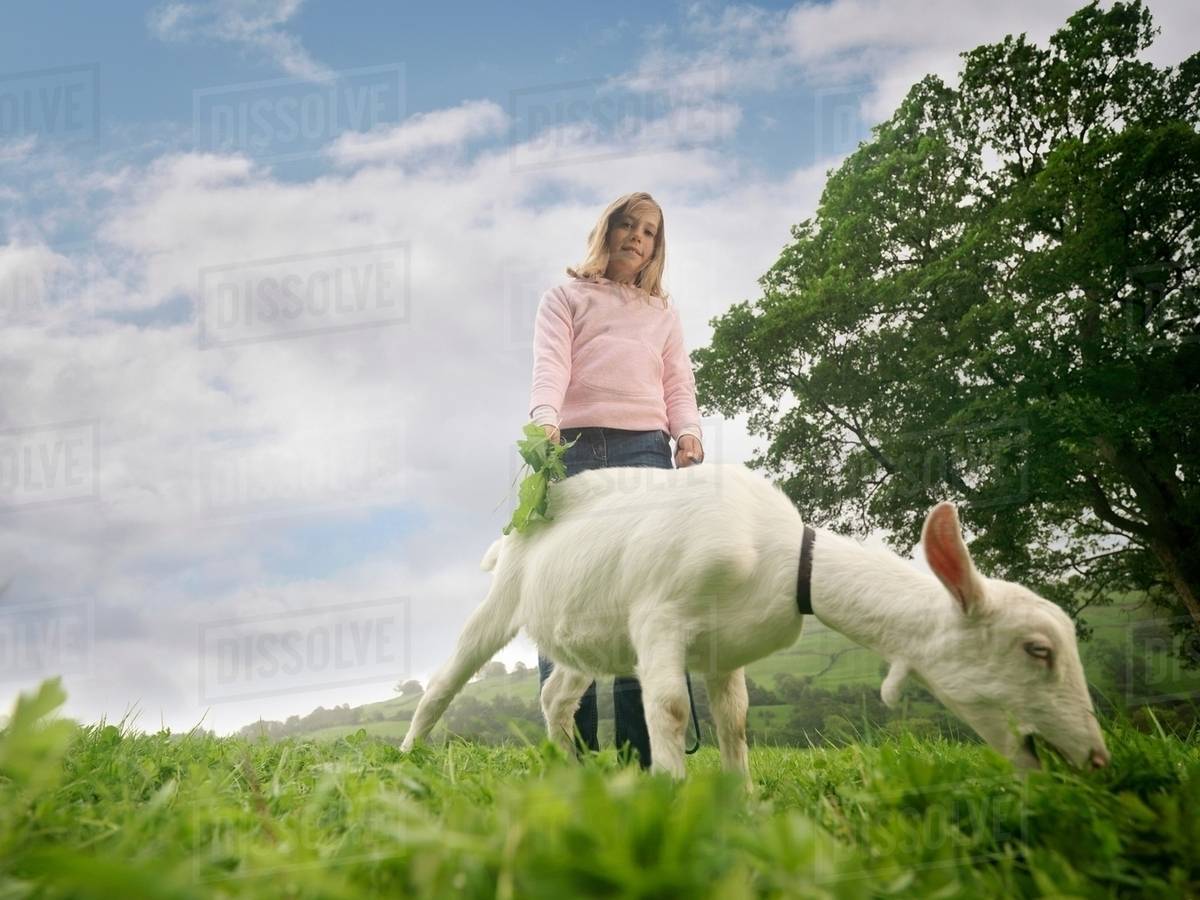 Girl And Goat - Stock Photo - Dissolve