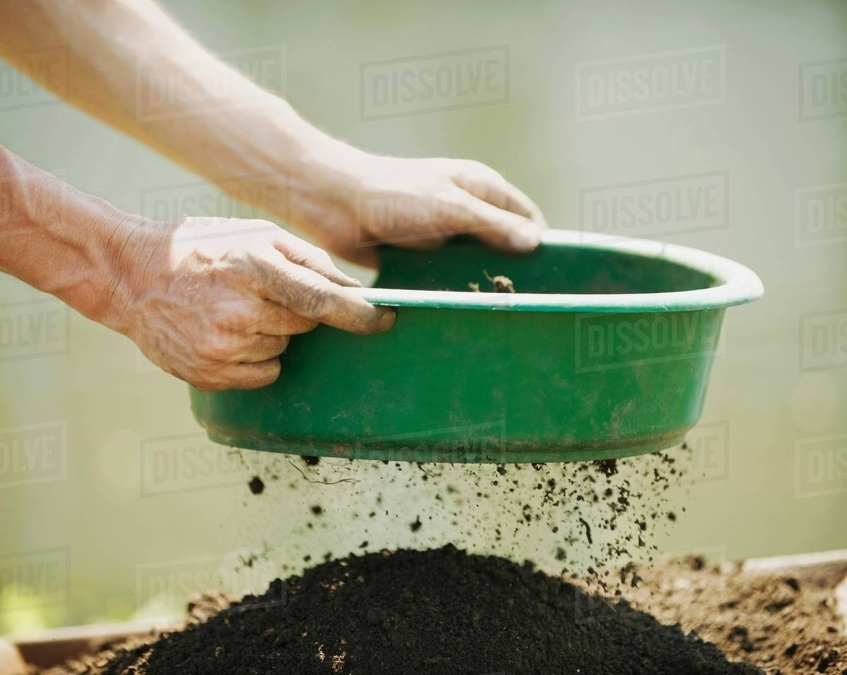 Hands sifting soil outdoors - Stock Photo - Dissolve
