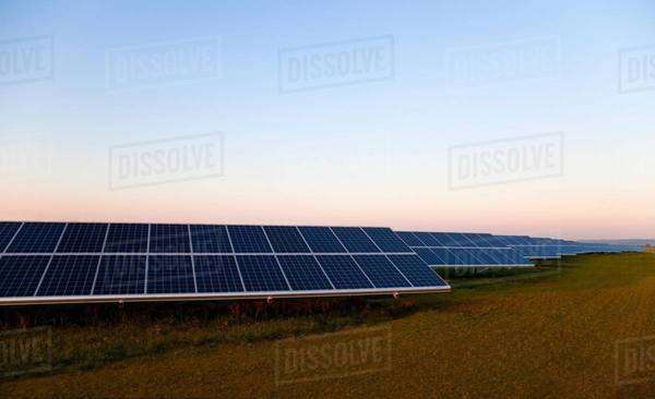 Solar panels in field - Royalty-free Stock Photo | Dissolve