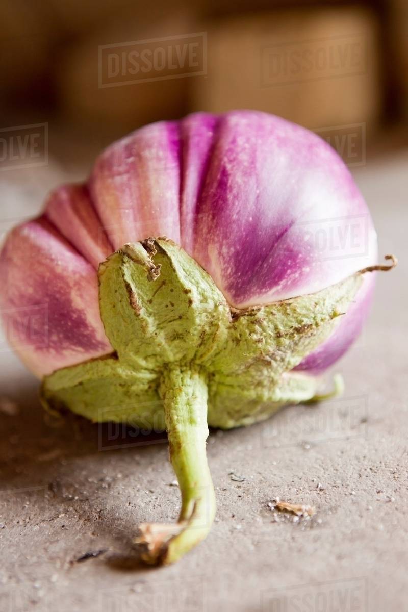 Close up of small aubergine - Royalty-free Stock Photo | Dissolve