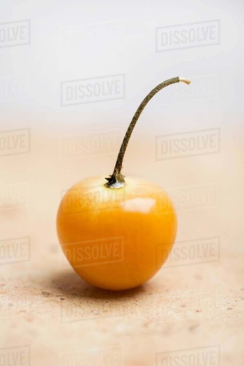 Close up of physalis - Royalty-free Stock Photo | Dissolve