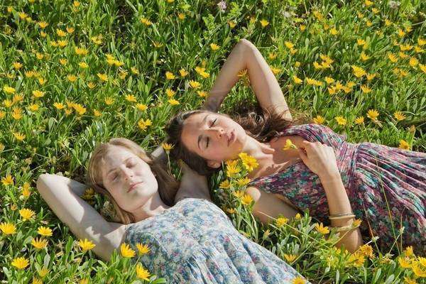 Teenage girls laying in field of flowers - Royalty-free Stock Photo ...