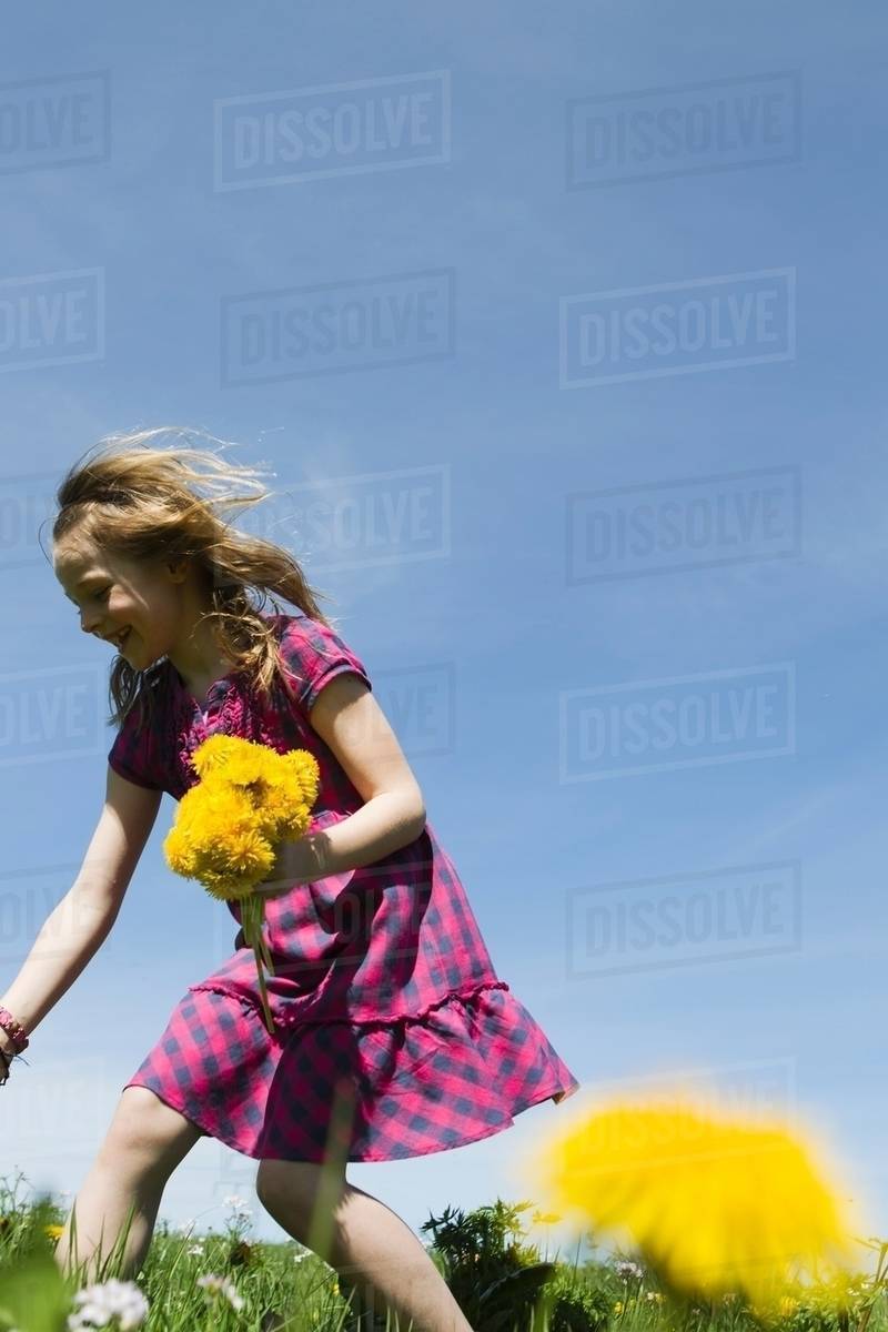 Girl picking wildflowers in field - Royalty-free Stock Photo | Dissolve