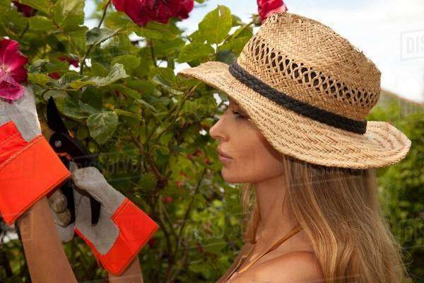 Woman pruning tree in garden - Stock Photo - Dissolve