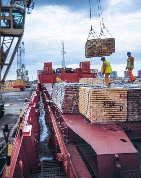 Workers unloading timber from cargo ship in port, Grimsby, England ...