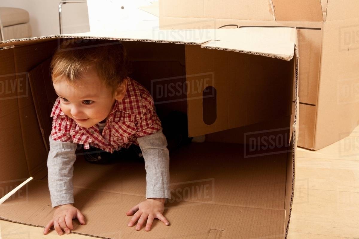 Little boy in packing case - Stock Photo - Dissolve