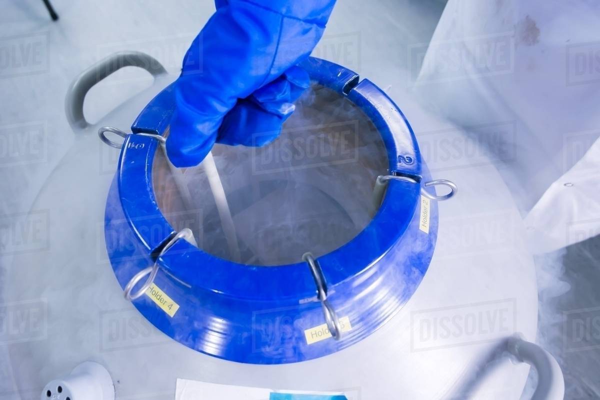 Cancer research laboratory, female scientists hand lifting cells stored ...