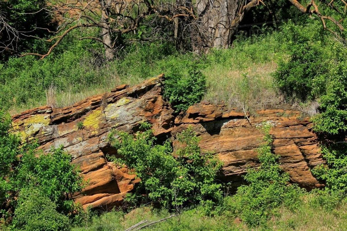 A Red Sand Stone rock in a pasture with green grass and tree's with ...