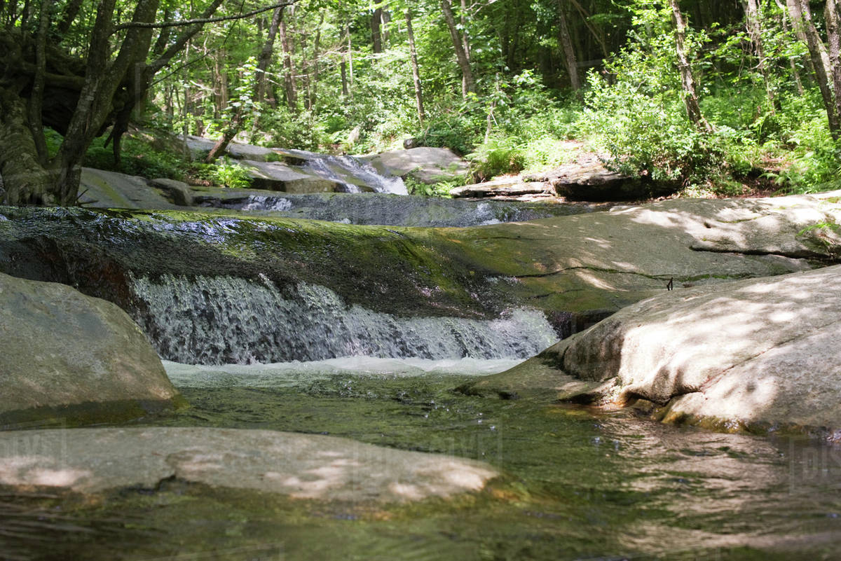 Stream running through woods - Royalty-free Stock Photo | Dissolve