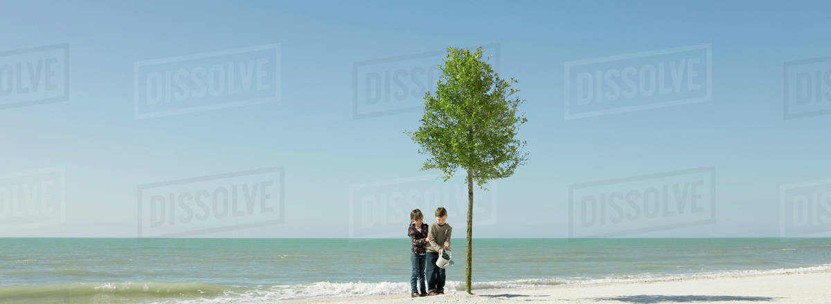 Children watering tree growing on beach - Royalty-free Stock Photo ...