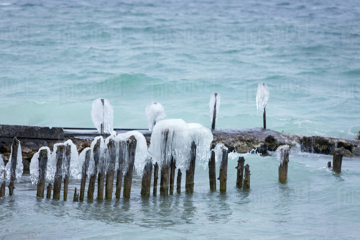 Ice covering stumps sticking out of lake - Royalty-free Stock Photo ...