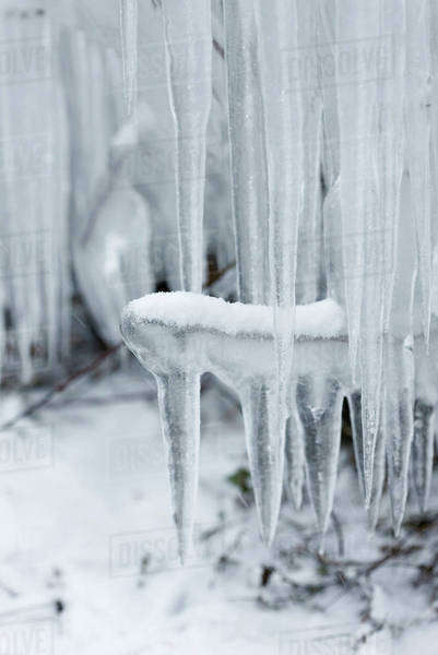 Icicles, close-up - Stock Photo - Dissolve