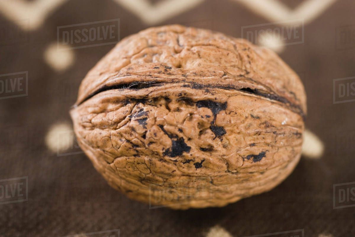 Walnut - Royalty-free Stock Photo | Dissolve