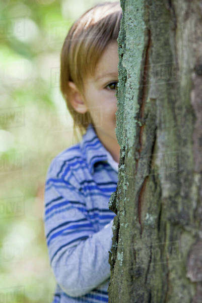 Boy peeking from behind tree - Royalty-free Stock Photo | Dissolve