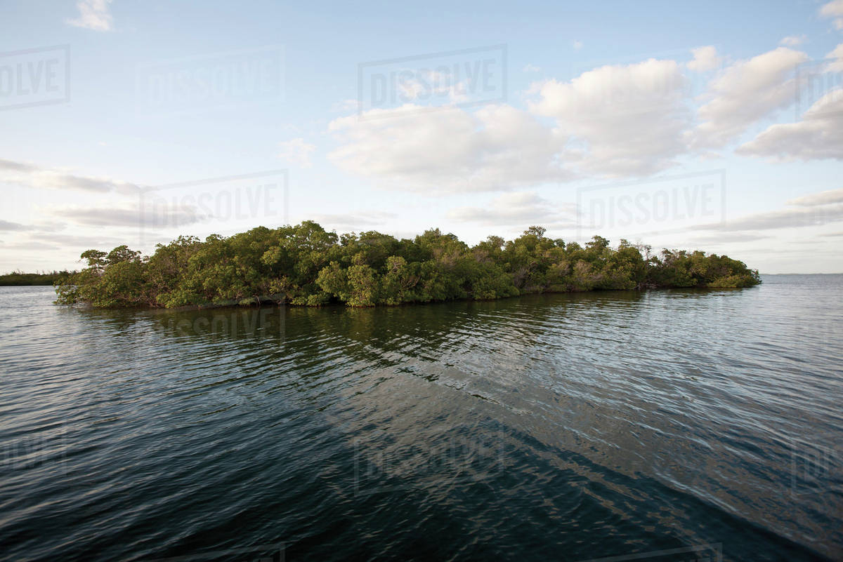 Small wooded island in water - Royalty-free Stock Photo | Dissolve
