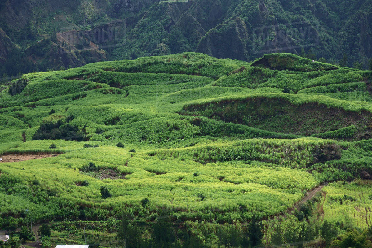 Verdant mountain landscape on Reunion island in Africa - Royalty-free ...