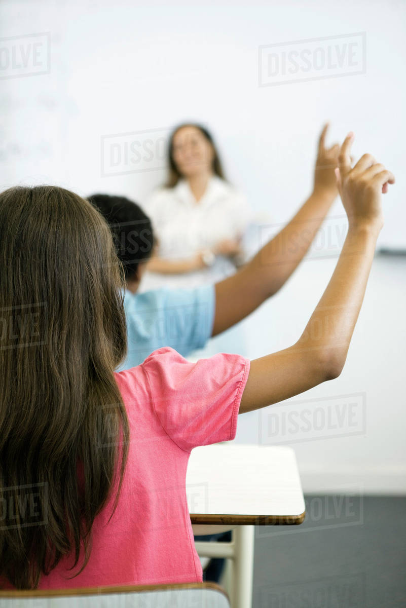 Elementary school students raising hand in class, rear view - Stock ...