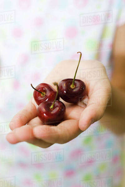 Cupped hand holding cherries - Royalty-free Stock Photo | Dissolve