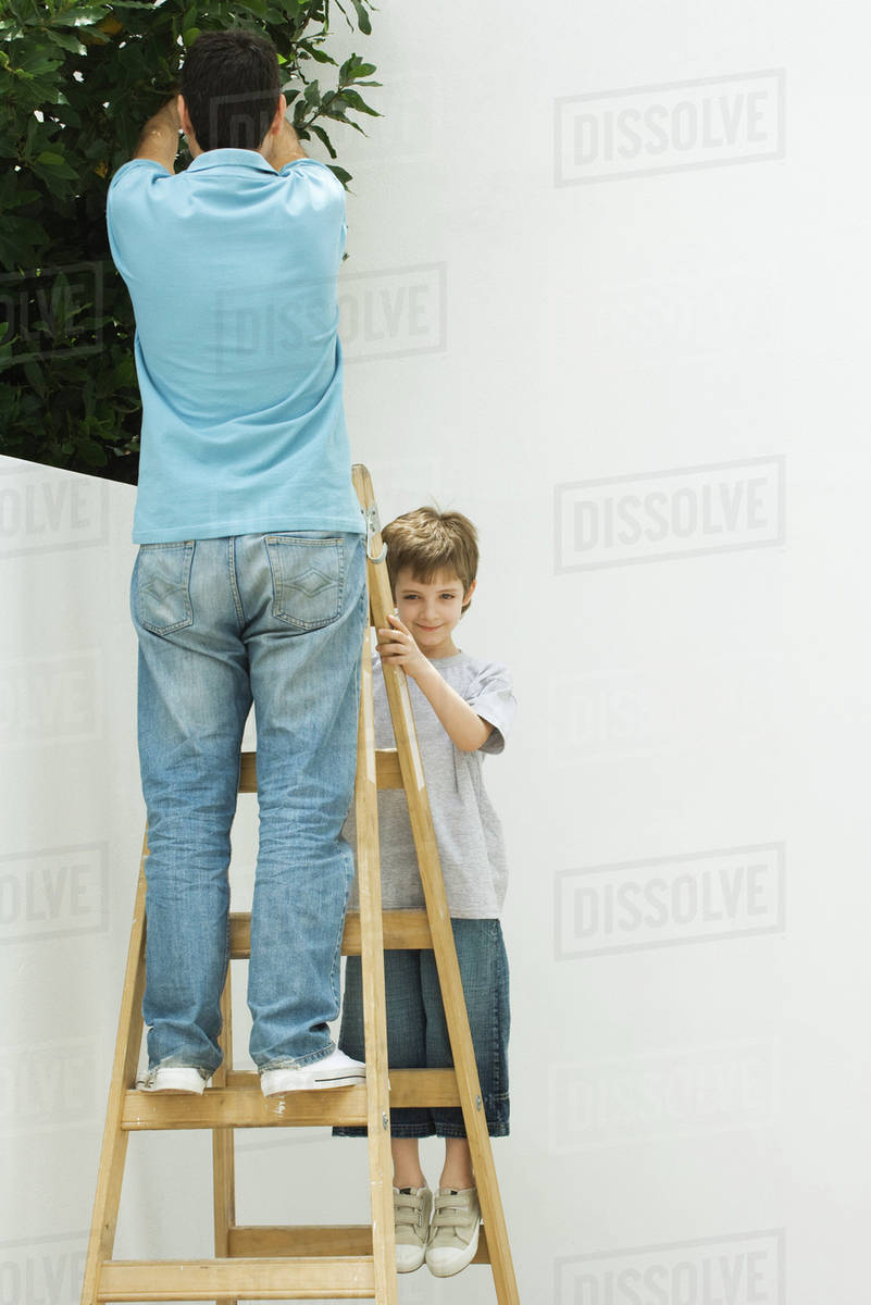 Father and son standing on ladder together, boy smiling at camera ...
