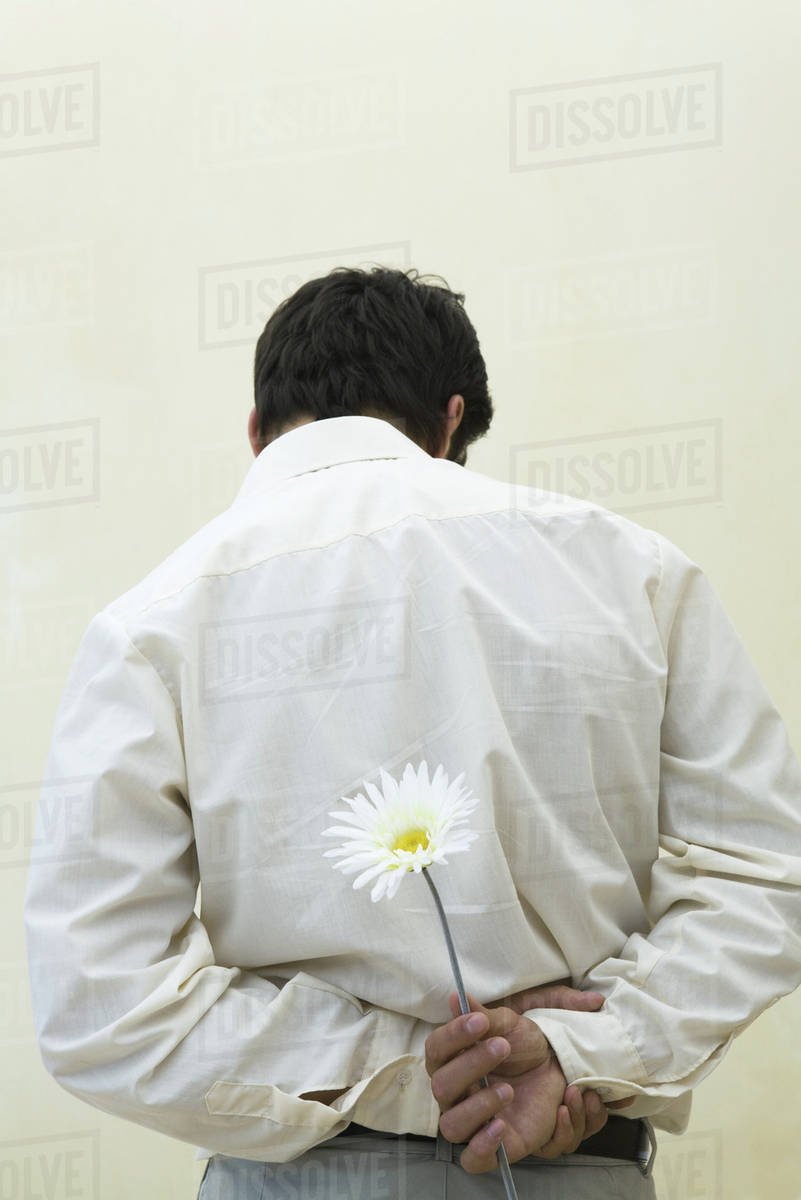 Man holding flower behind his back, rear view - Stock Photo - Dissolve