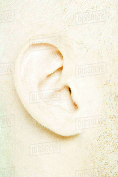 Male ear, extreme close-up - Royalty-free Stock Photo | Dissolve