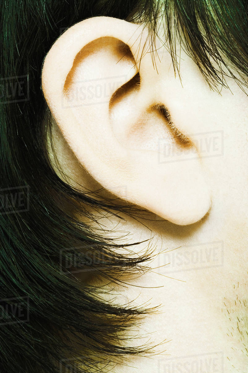 Male ear, extreme close-up - Royalty-free Stock Photo | Dissolve