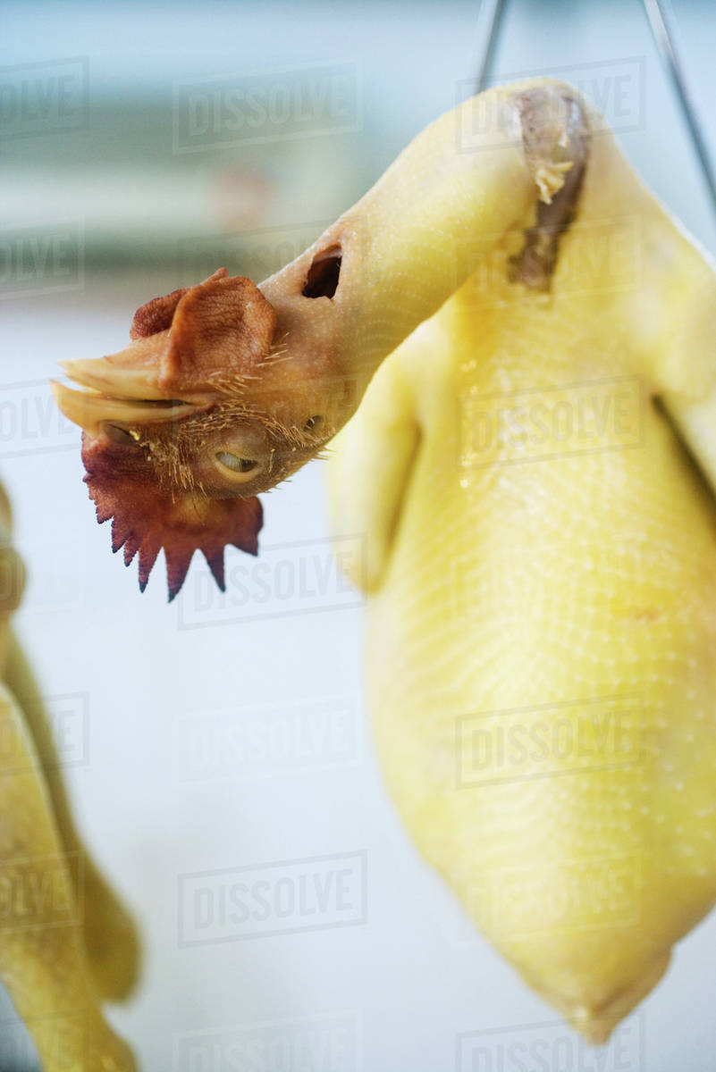 Raw skinned chicken hanging from hook - Royalty-free Stock Photo | Dissolve