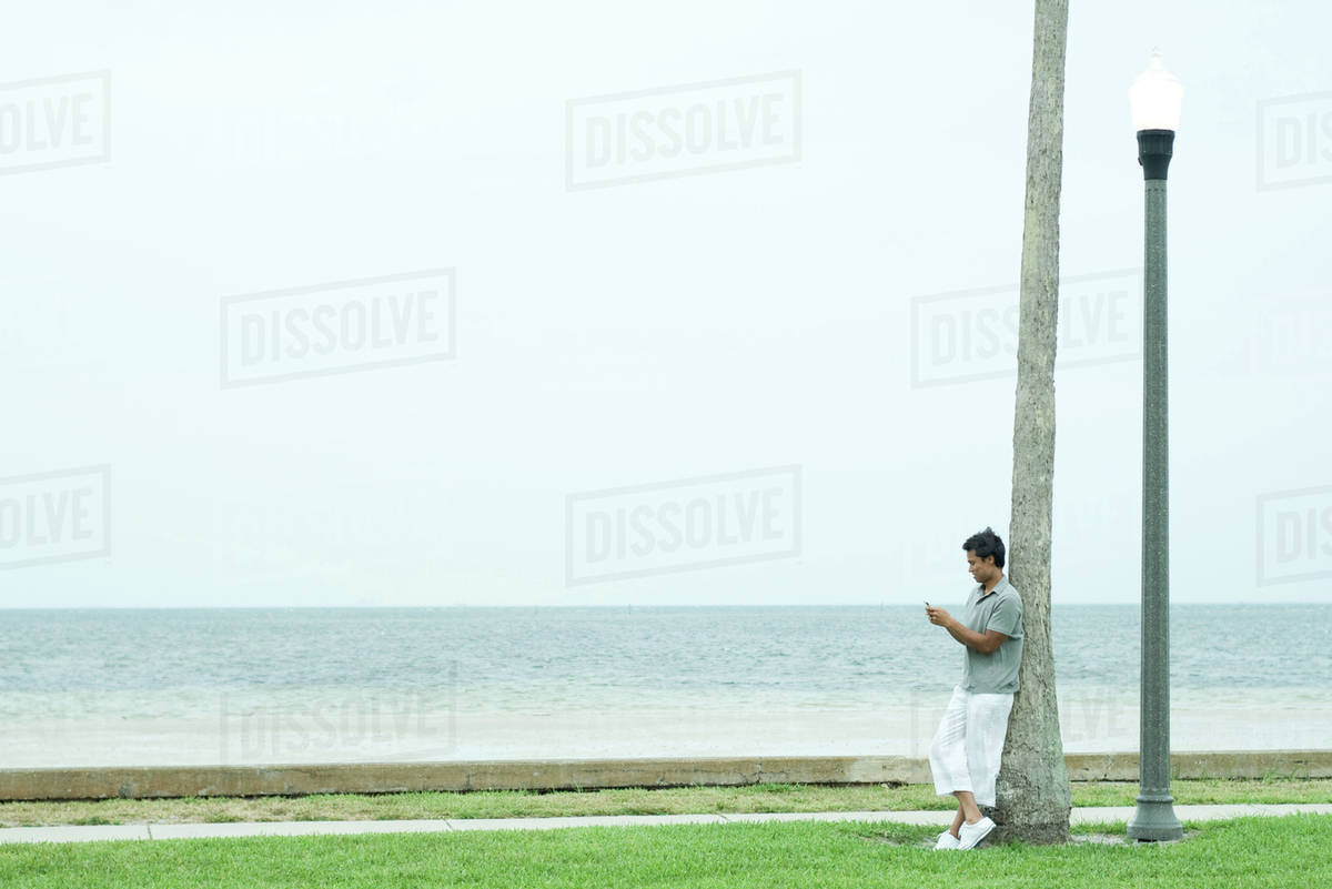 Man leaning against tree trunk, looking down at cell phone, full length ...