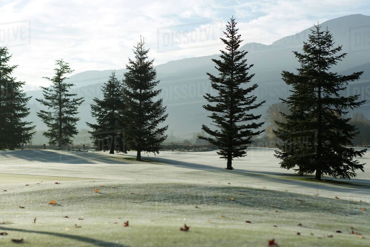 Frost-covered golf course in mountains - Stock Photo - Dissolve