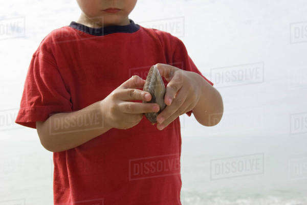 Boy examining clam shell at the beach - Royalty-free Stock Photo | Dissolve