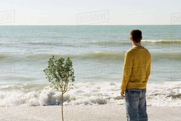 Man standing beside small tree growing on beach, looking at view ...
