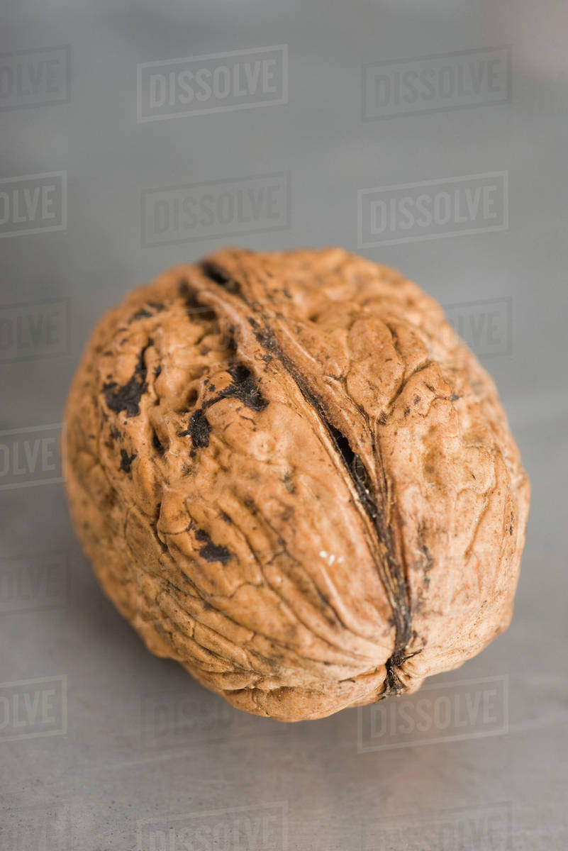 Walnut - Stock Photo - Dissolve