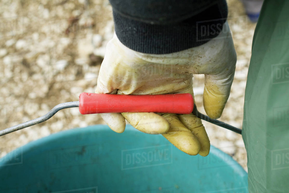 Gloved hand carrying bucket, cropped - Royalty-free Stock Photo | Dissolve