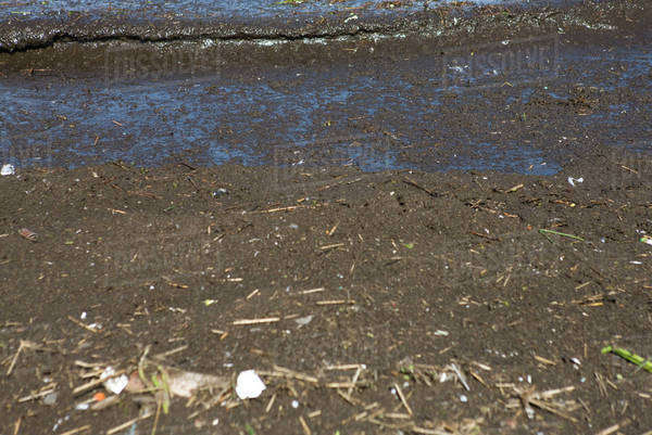 Muddy, polluted shore, close-up - Royalty-free Stock Photo | Dissolve