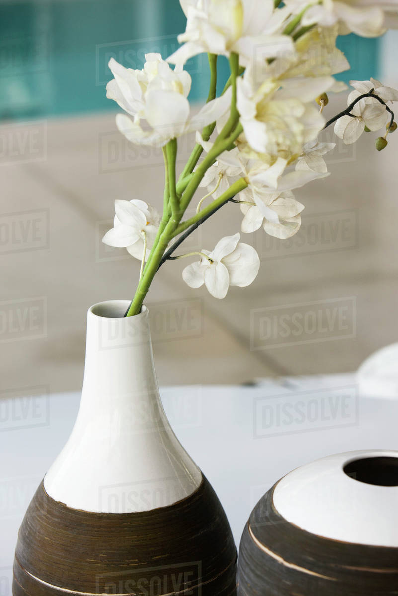White flowers in ceramic vase - Royalty-free Stock Photo | Dissolve