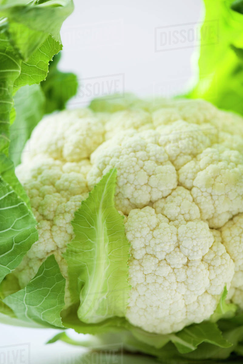Fresh cauliflower - Royalty-free Stock Photo | Dissolve