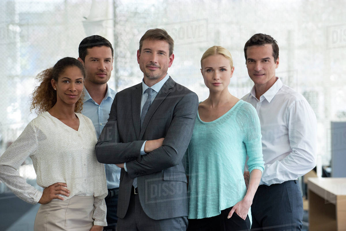 Team of professionals, portrait - Stock Photo - Dissolve