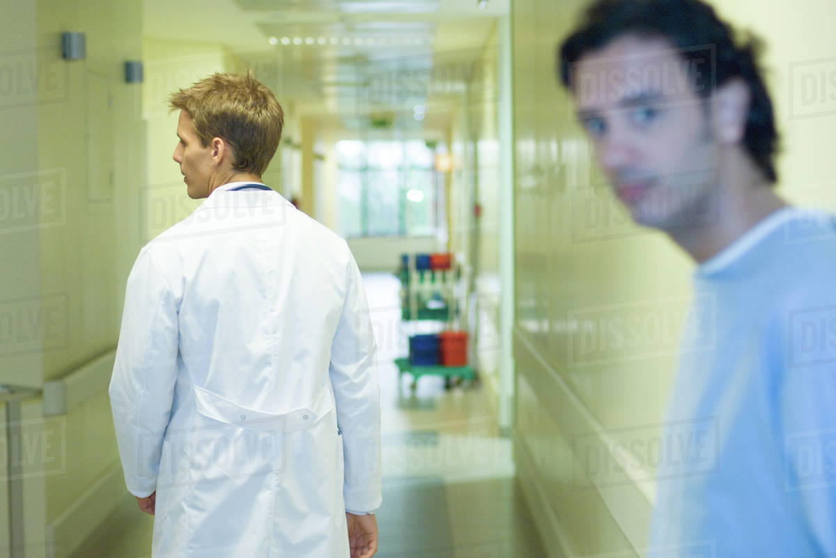 Male doctor walking in hospital corridor, rear view, man looking at ...
