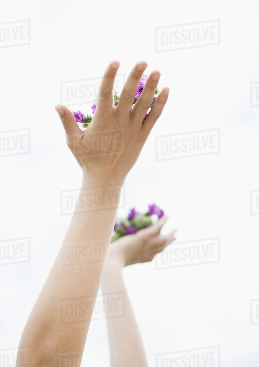 Woman's hands holding up flowers - Royalty-free Stock Photo | Dissolve