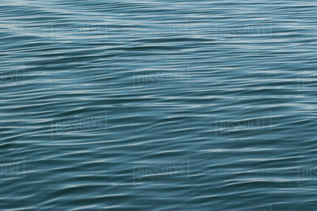 Rippled surface of water, full frame - Royalty-free Stock Photo | Dissolve