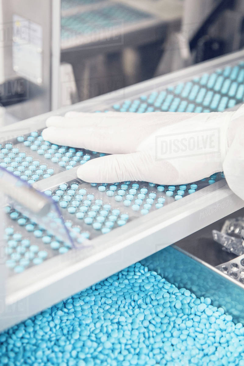 Worker monitoring pill trays moving along conveyor belt through ...