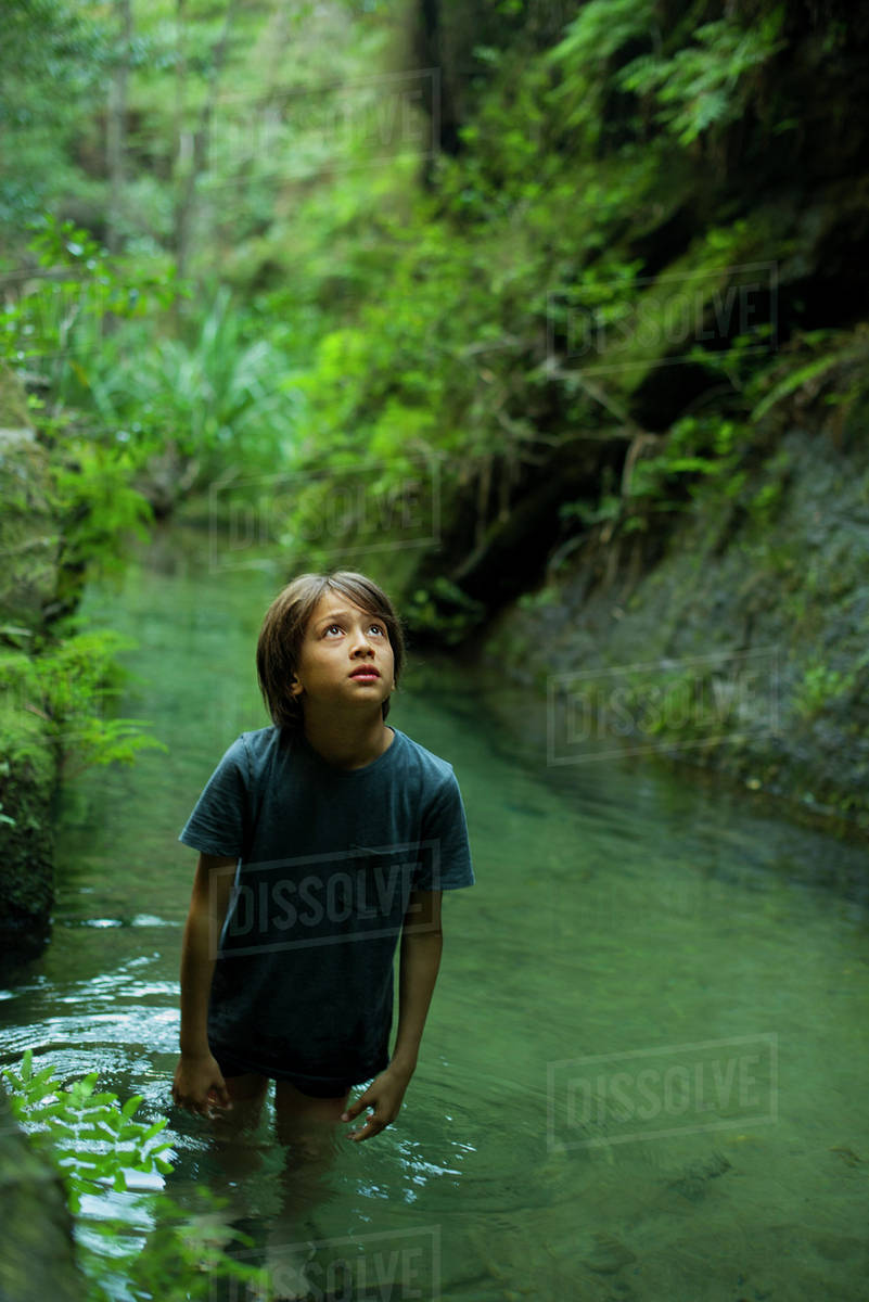 Boy wading in stream, looking up in awe - Royalty-free Stock Photo ...