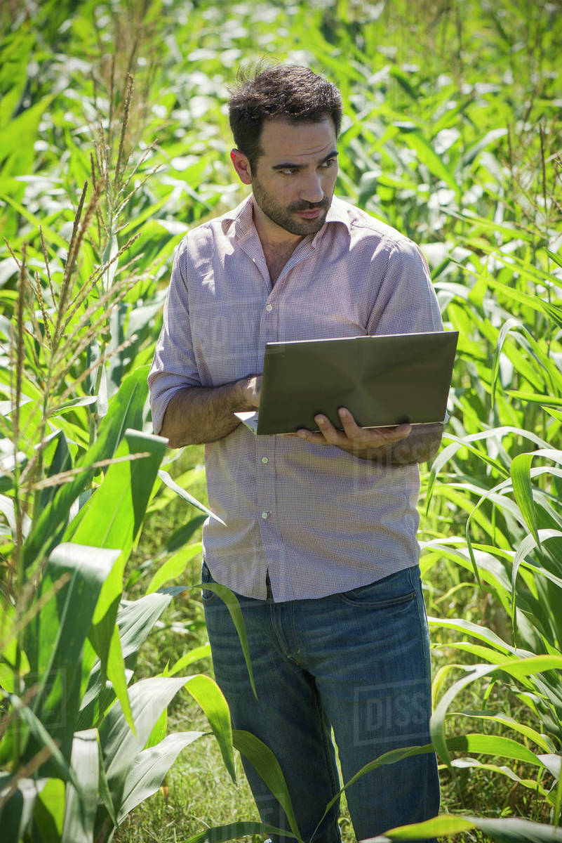 Scientist using laptop computer in field - Stock Photo - Dissolve
