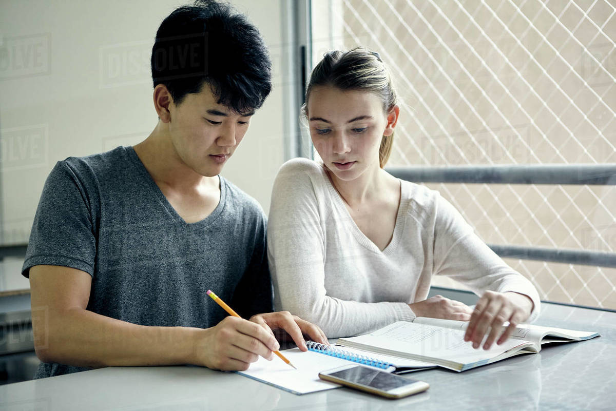 Classmates studying together - Stock Photo - Dissolve