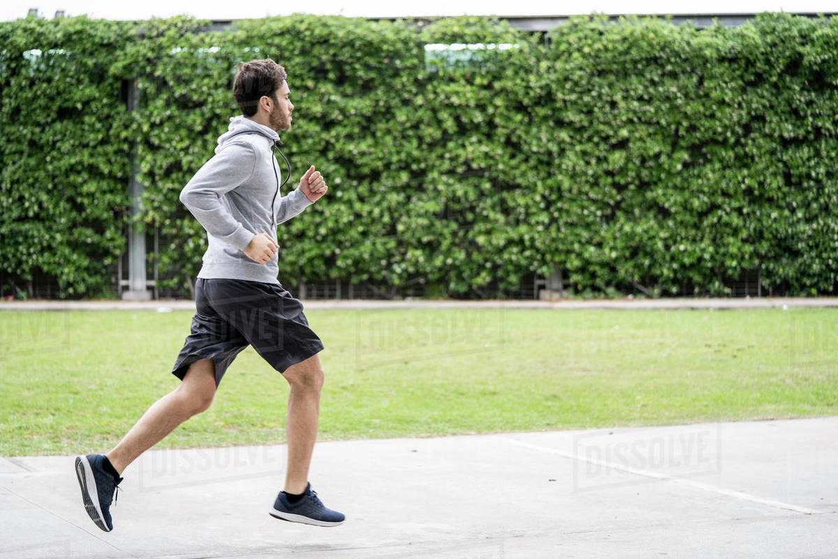 Young man jogging in park - Stock Photo - Dissolve